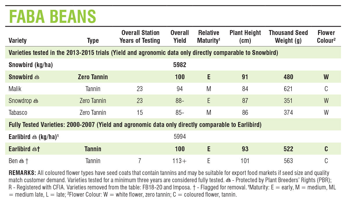 faba-beans - The Alberta Seed Guide