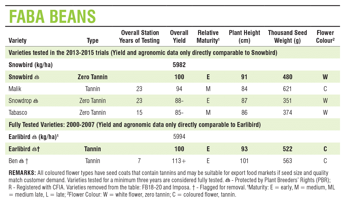 faba-beans - The Alberta Seed Guide