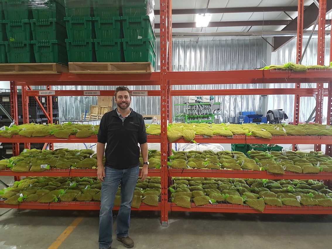 Limagrain Cereals Research Canada - The Alberta Seed Guide