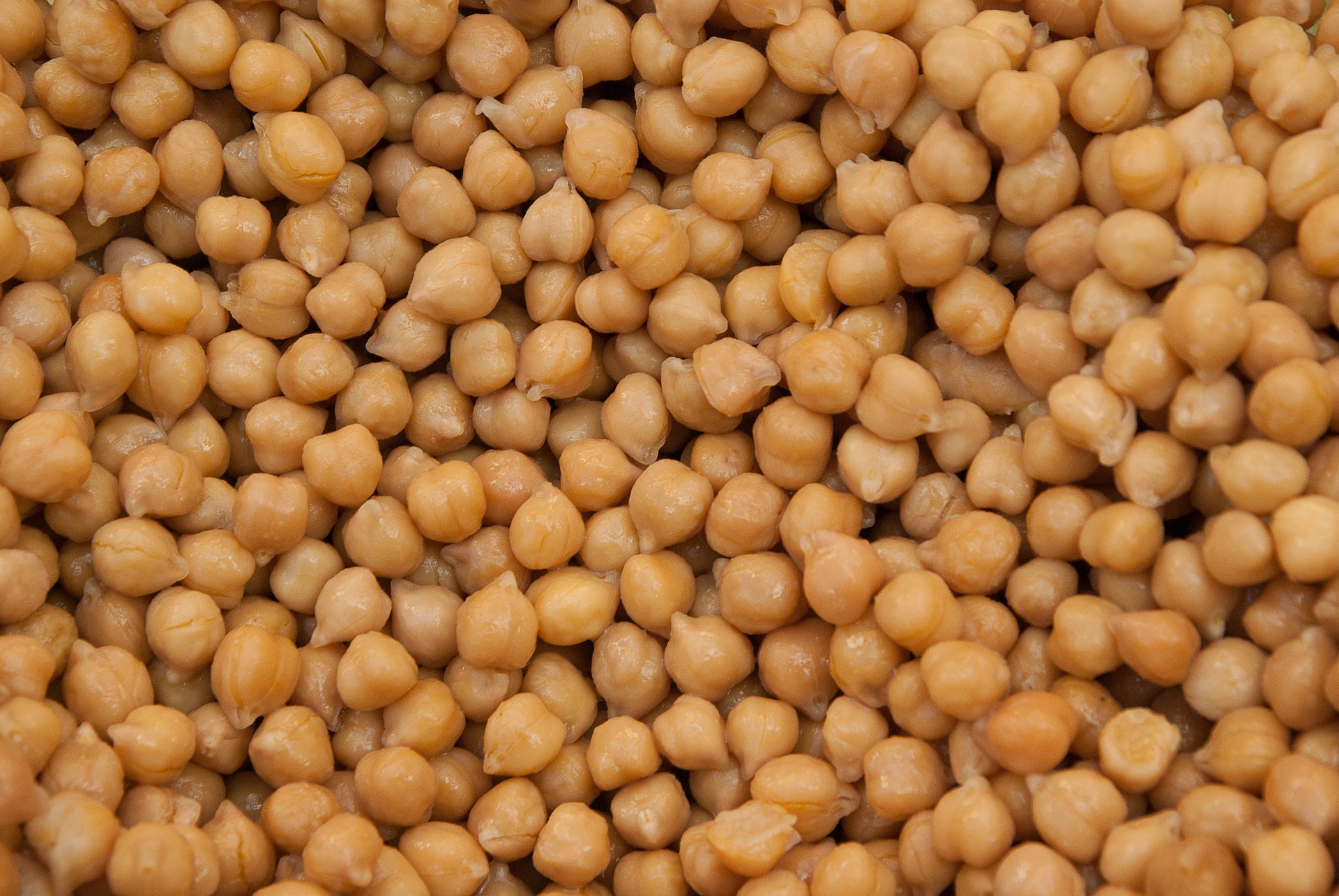Tips for Treating Pulses - The Alberta Seed Guide Tips for Treating Pulses - The Alberta Seed Guide