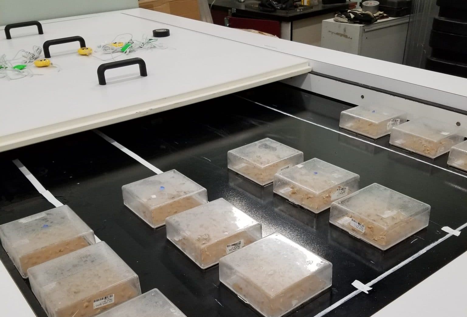 New Seed Tests and Technologies - The Alberta Seed Guide