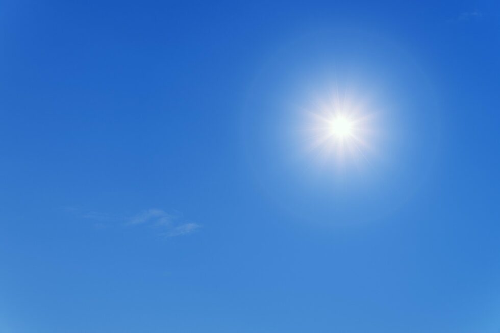 Alberta Farmers Push Seeding to 74% Complete as Warm Weather ...