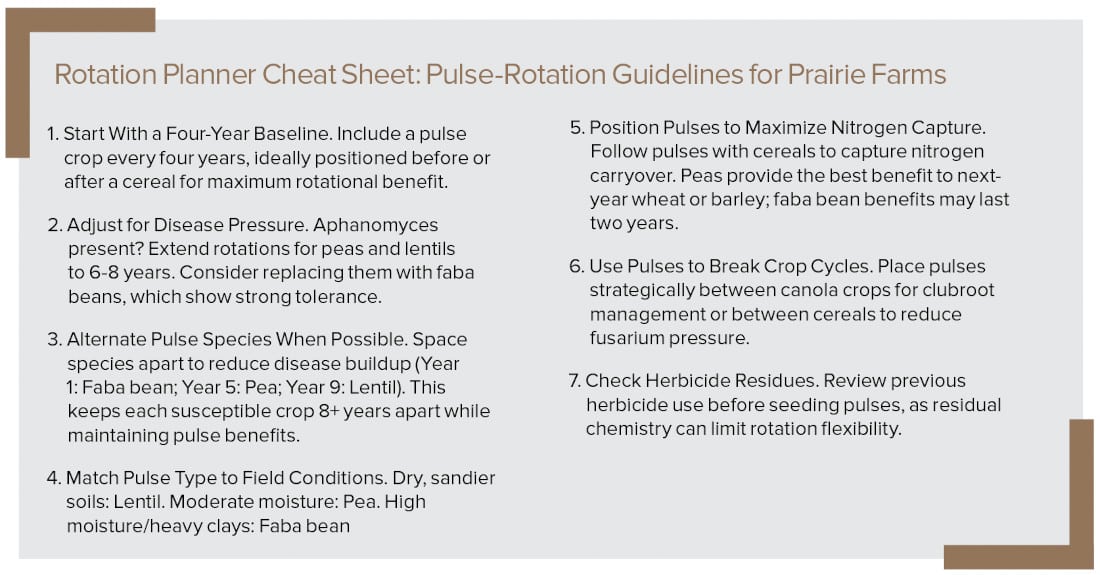 Why Pulse Crops Are One of the Most Powerful Tools for Prairie Soil ...
